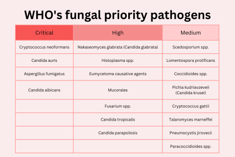 WHO publishes first list of fungal priority pathogens