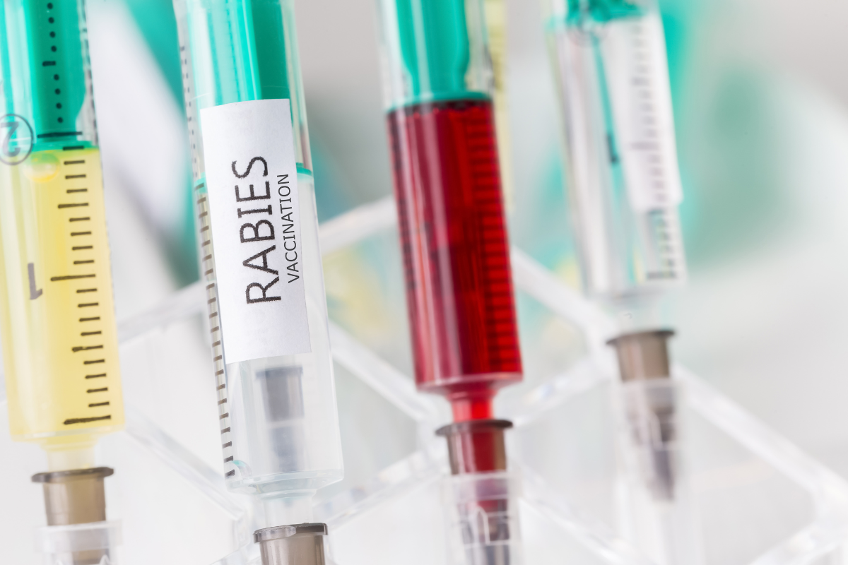 Replicate’s srRNA platform shows promise for rabies